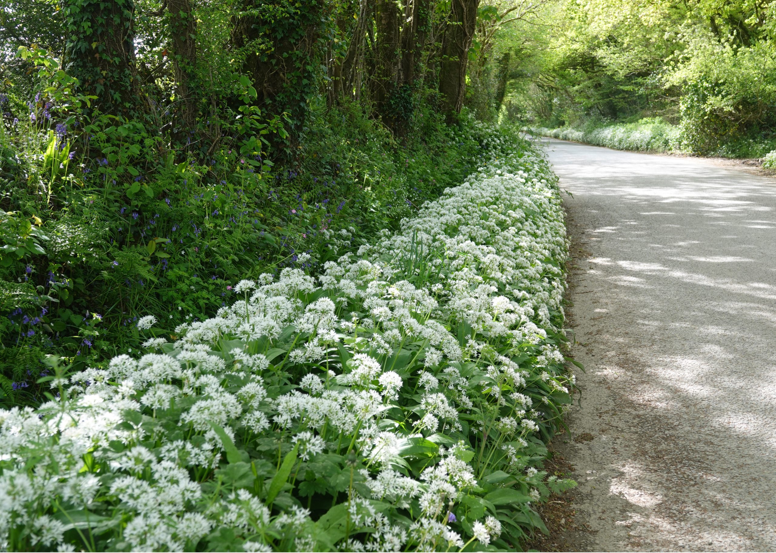 Calendar - Nanstallon Community Trust