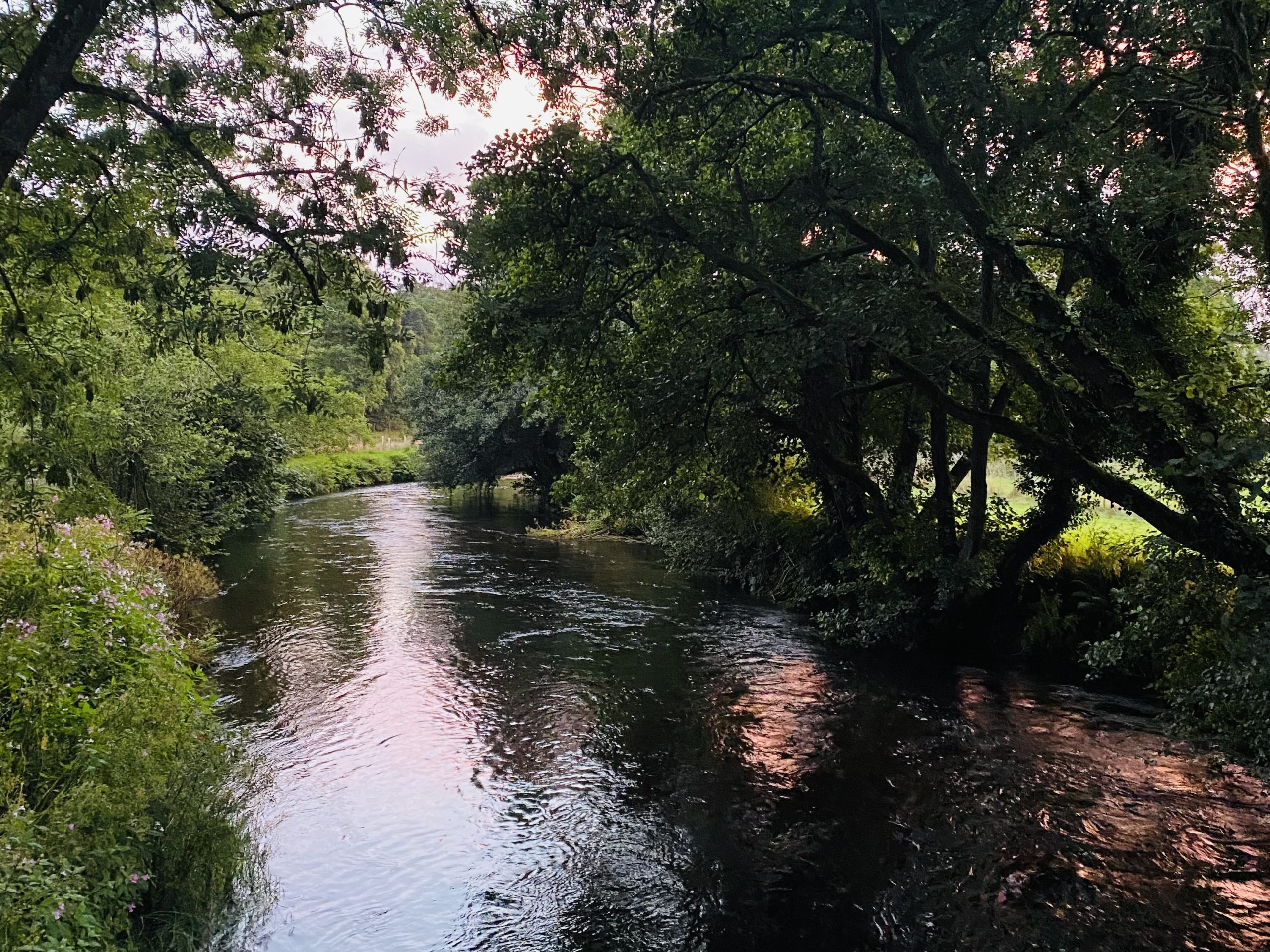 Home - Nanstallon Community Trust